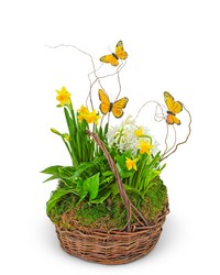 Baker Florist :: Flower Delivery Dover, OH :: Florist Dover, OH